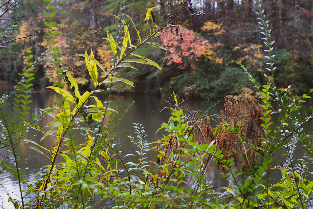 ENF – Geschichte des Little River Valley – Eagle's Nest Foundation NC